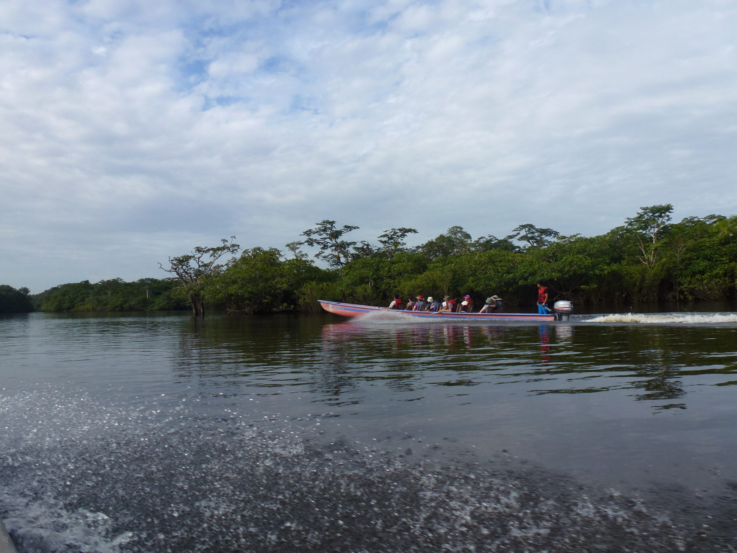 Rainforest Adventure 5 days Paddle Tour - CuyabenoLodge